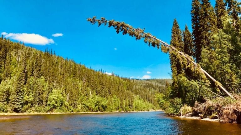 Cycling from Salcha River into a headwind in Alaska