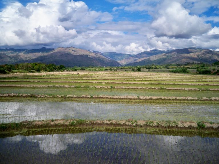Cycling from Tamborapa to Jaen | Bike Touring in Peru