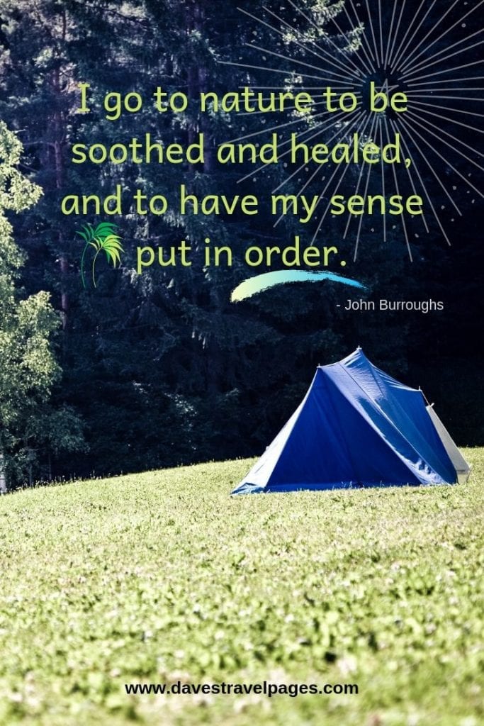 100 Best Camping Quotes & Camping Sayings For Outdoor Nights