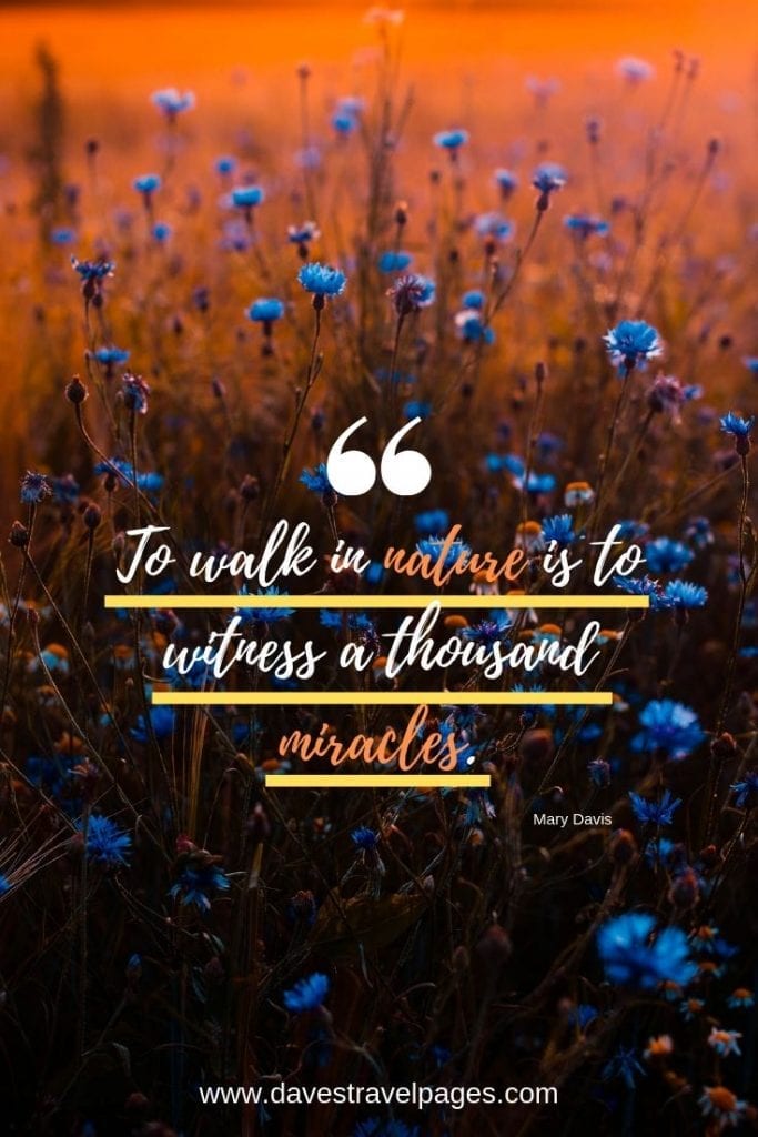 100+ Outdoor Quotes For Those That Love The Great Outdoors