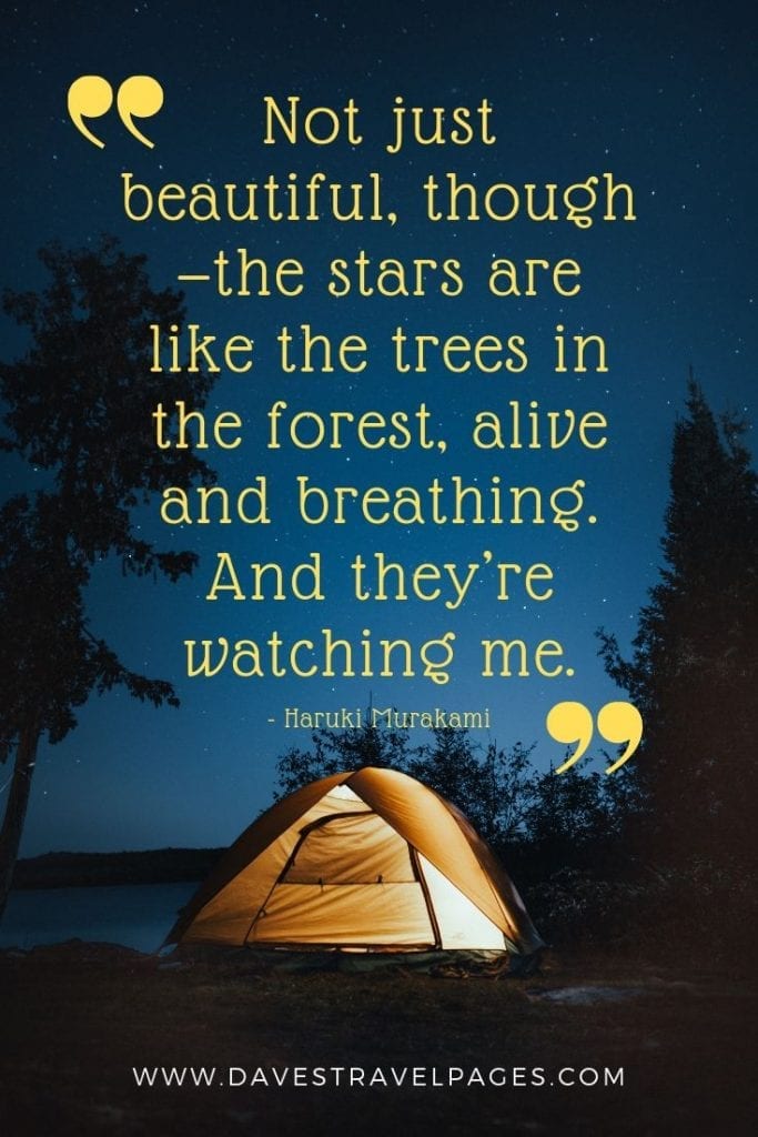 100+ Outdoor Quotes For Those That Love The Great Outdoors