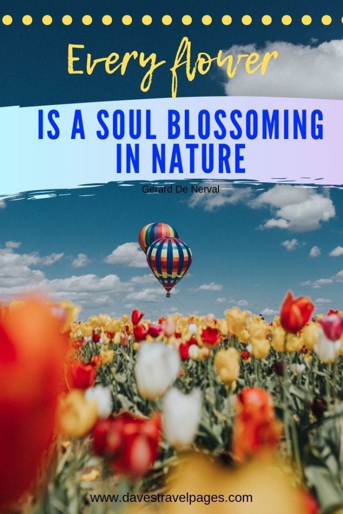 100+ Outdoor Quotes For Those That Love The Great Outdoors