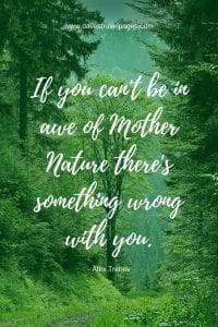 100+ Outdoor Quotes For Those That Love The Great Outdoors