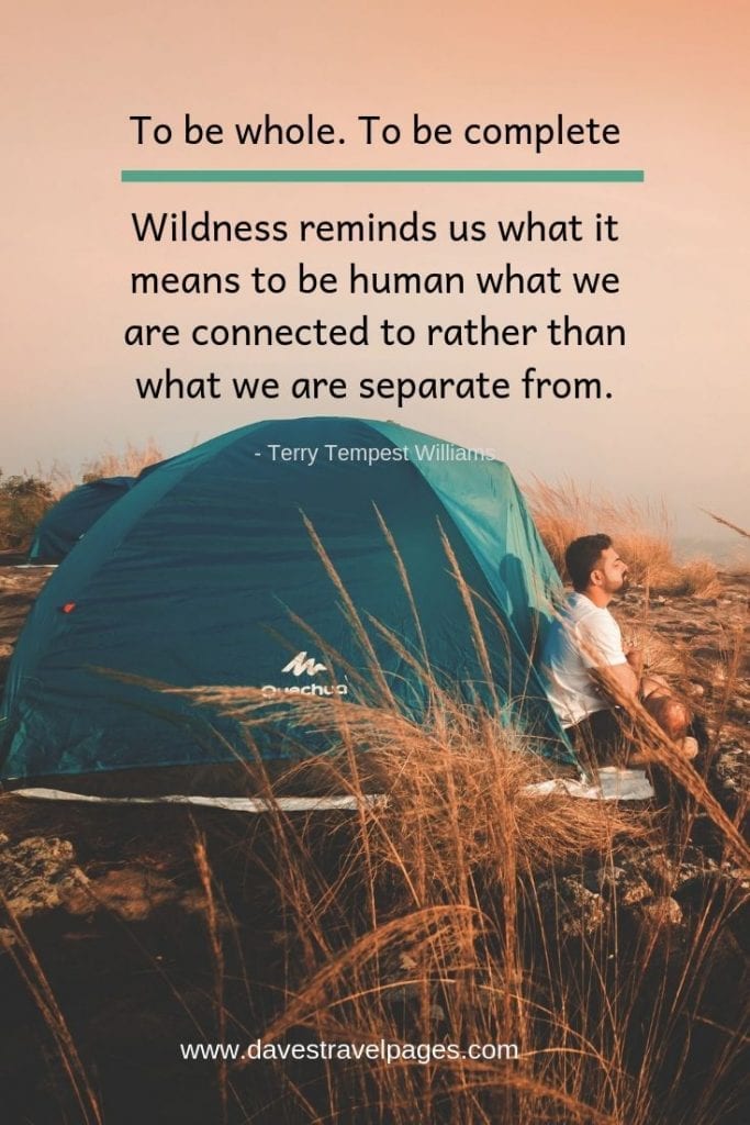 100 Best Camping Quotes & Camping Sayings For Outdoor Nights