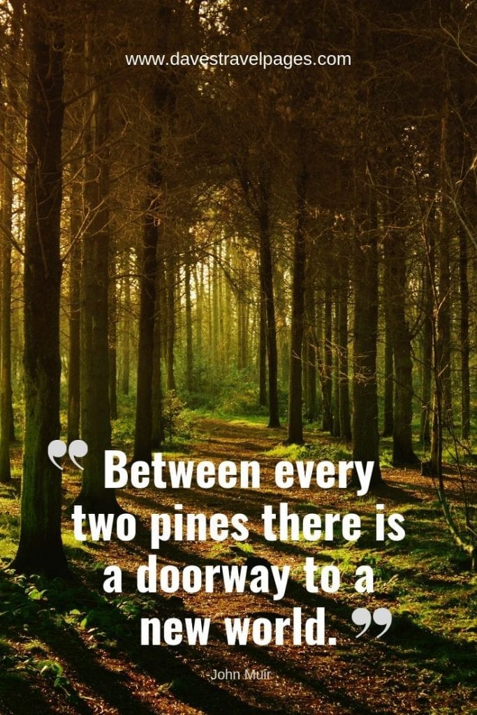 100+ Outdoor Quotes For Those That Love The Great Outdoors