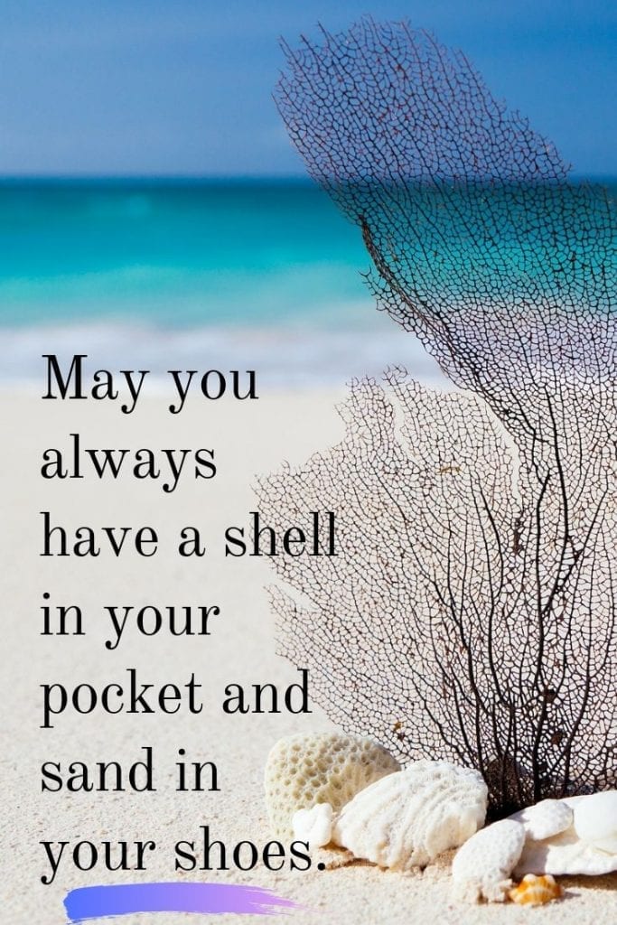 100+ Beach Vibes Quotes to Inspire Your Next Beach Getaway