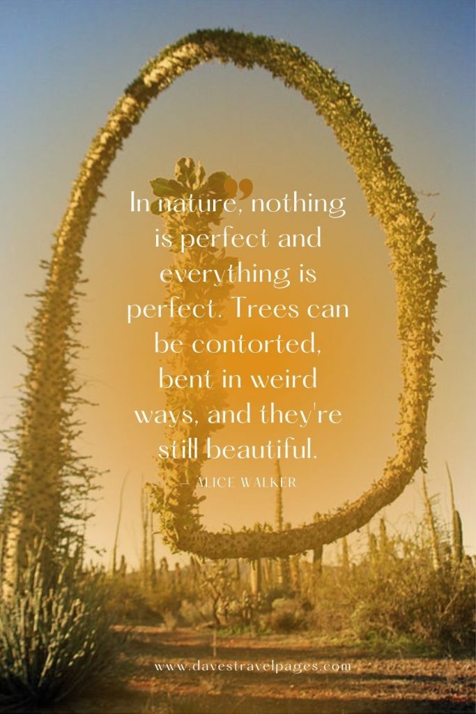 Nature Quotes Collection: Quotes On Nature Beauty (2025)