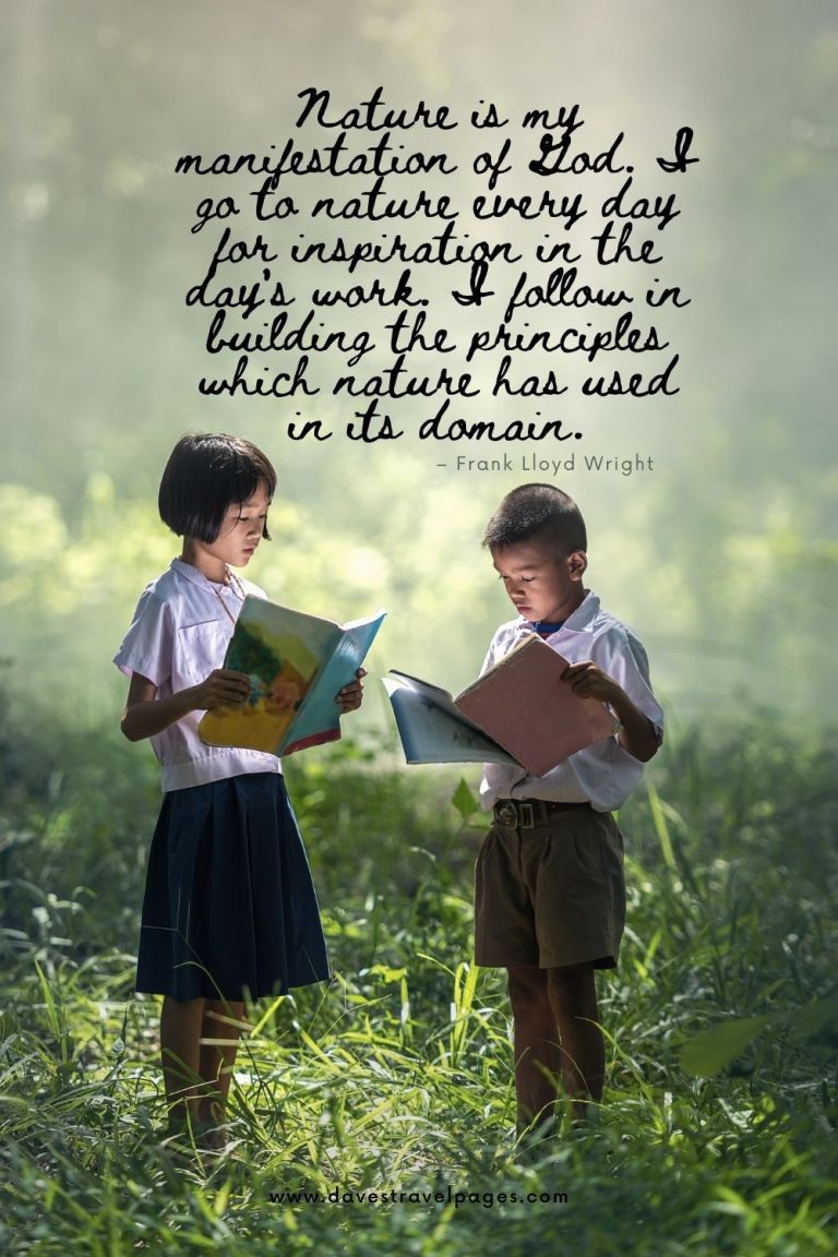 Nature Quotes Collection: Quotes On Nature Beauty (2025)