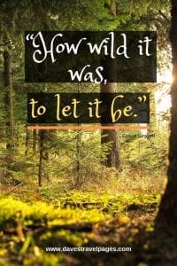 70 Mountain Quotes To Inspire You To Achieve New Heights 2025