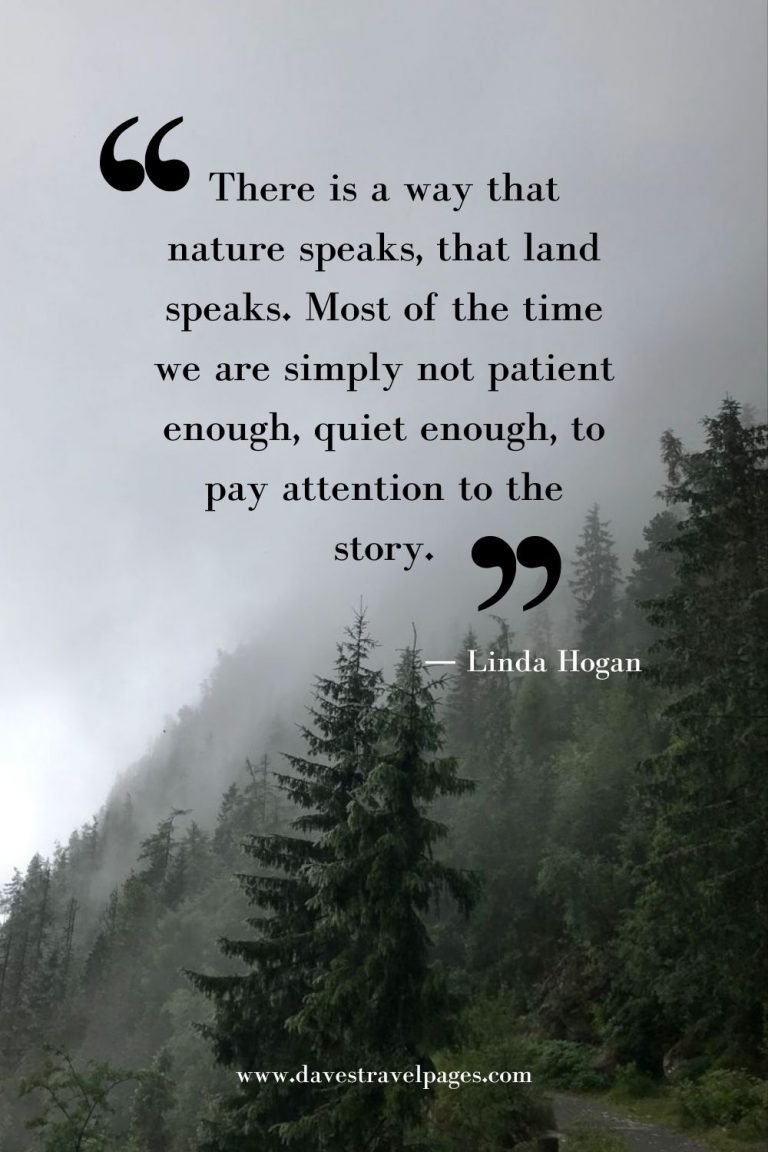 Nature Quotes Collection: Quotes On Nature Beauty (2025)