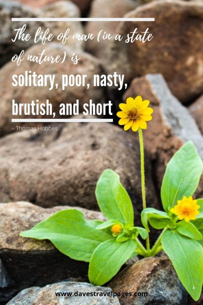 Philosophy Quotes from Ancient Greece to Modern Times