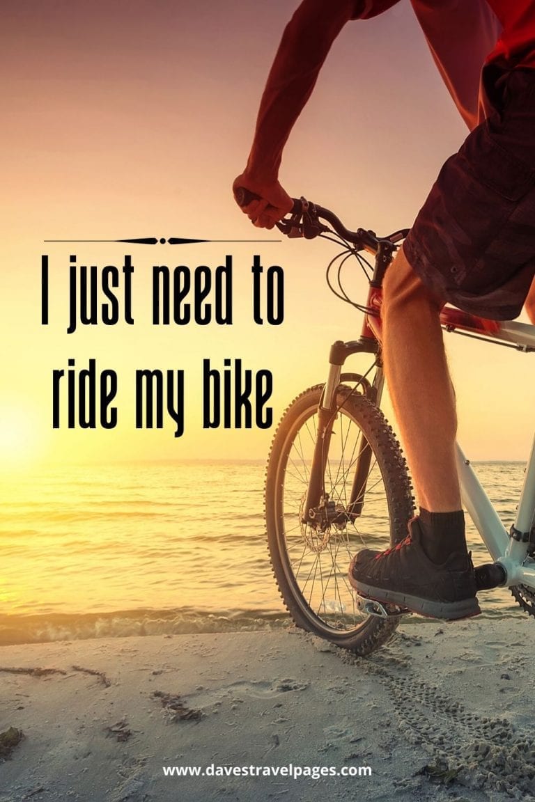 Bicycle Quotes - Because every day is World Bicycle Day!