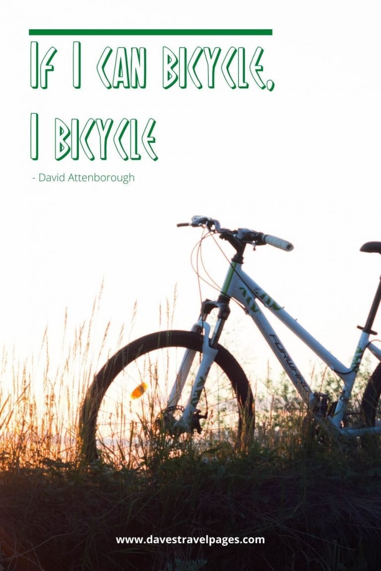 Bicycle Quotes - Because every day is World Bicycle Day!