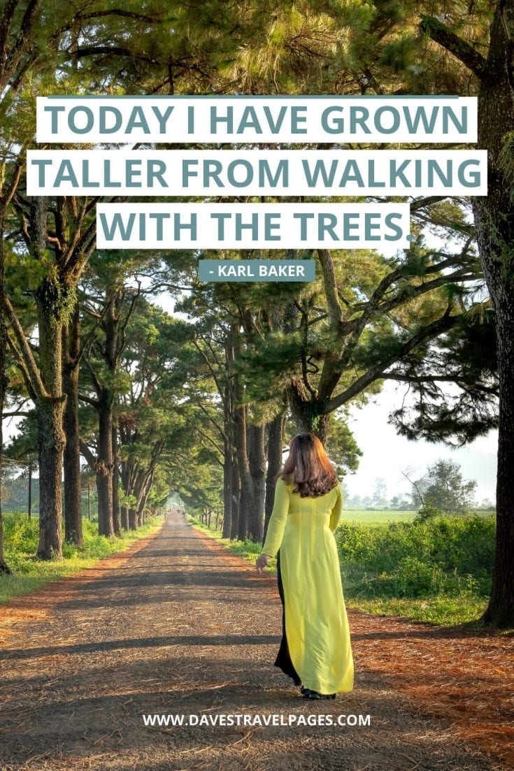 Walking Quotes: Inspirational Quotes on Walking and Hiking