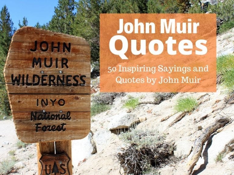 John Muir Quotes - 50 Inspiring Sayings and Quotes by John Muir