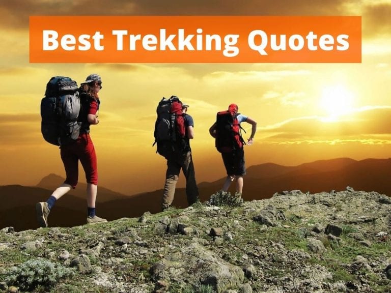50 Trekking Quotes To Inspire You To Enjoy The Great Outdoors