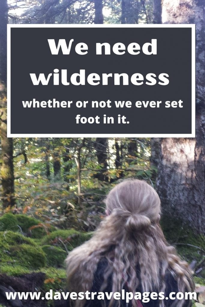 Epic Wilderness Quotes by Explorers, Authors, and Adventurers