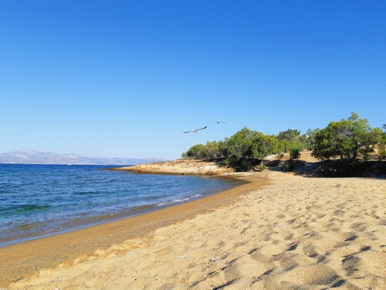 Best Beaches in Paros, Greece – Complete Guide 2025