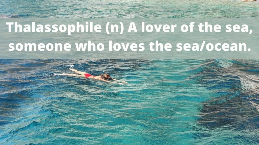 Sea Quotes: A massive collection of inspiring sea and ocean quotes