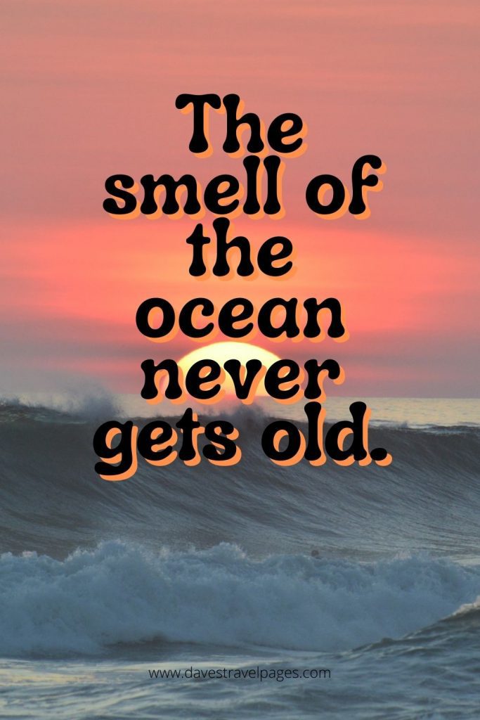 More Than 200 Fun Ocean Instagram Captions - Seas The Day!