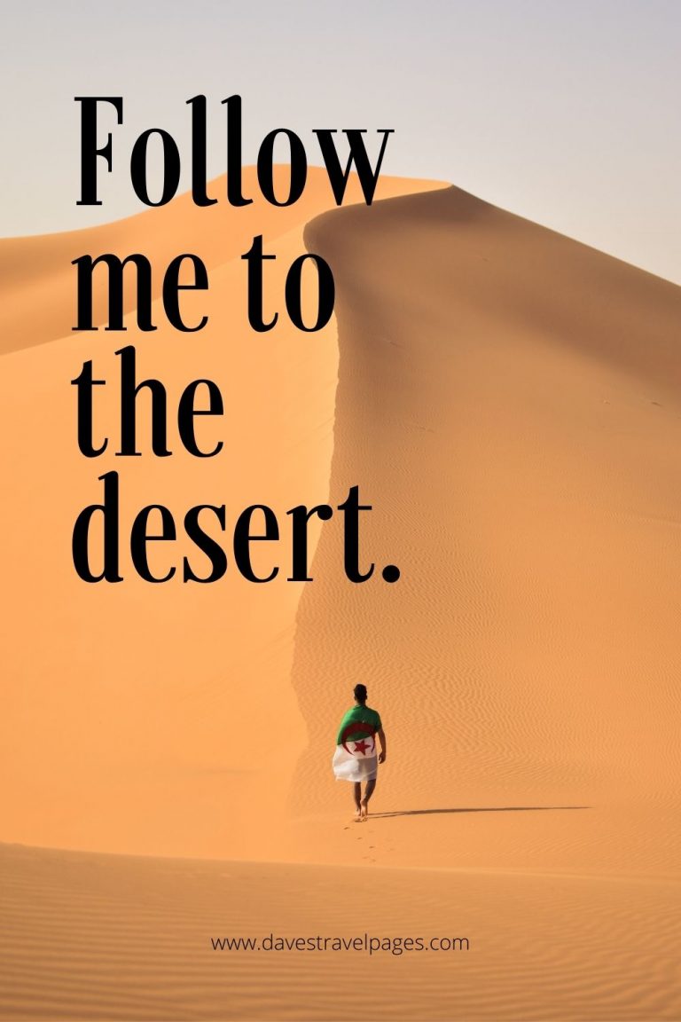 Over 100 Epic Desert Instagram Captions For Your Pictures