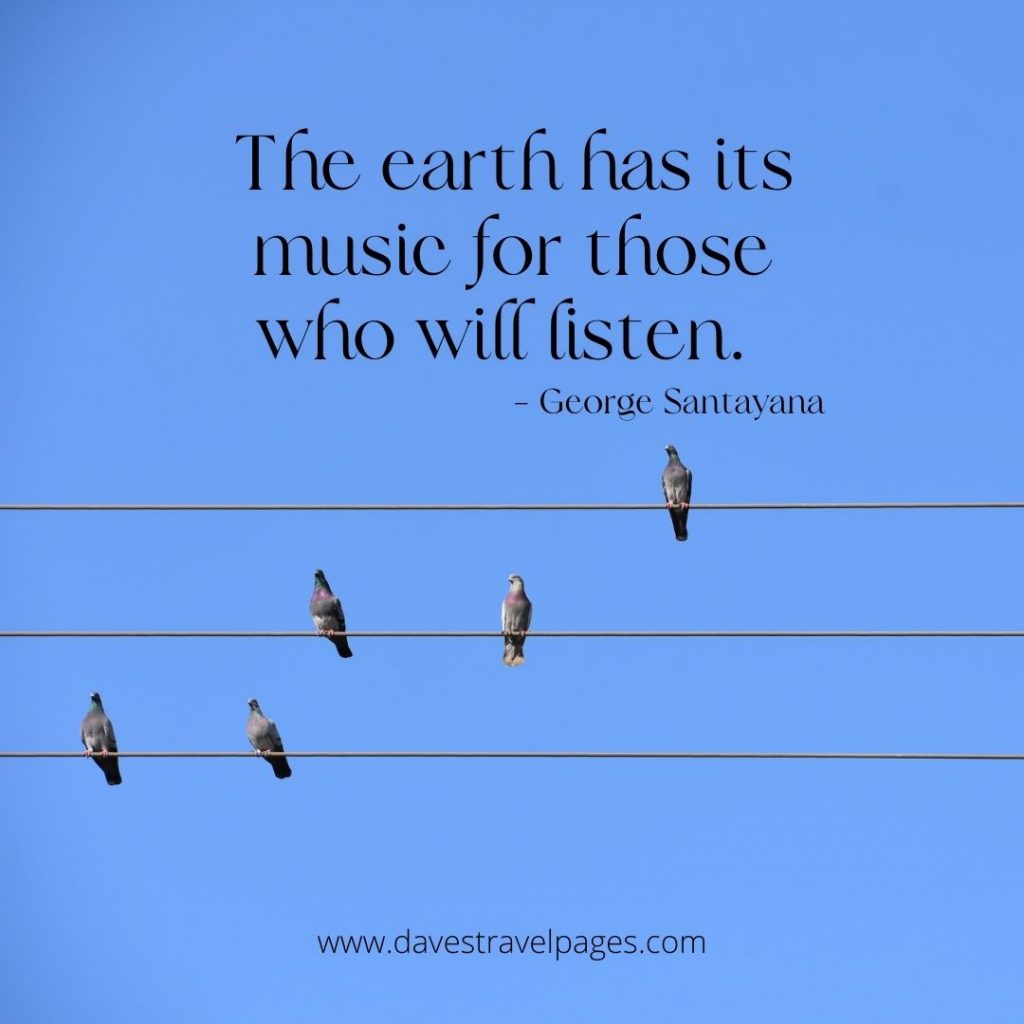 Scenery & Beautiful View Captions For Instagram