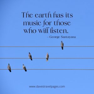 Scenery & Beautiful View Captions For Instagram