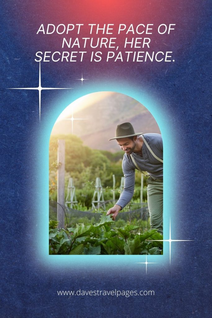 200+ Nature Captions For Instagram Photos And Shorts