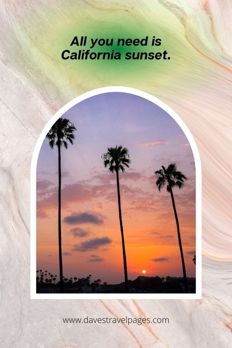 Over 150 California Instagram Captions For Golden State Photos