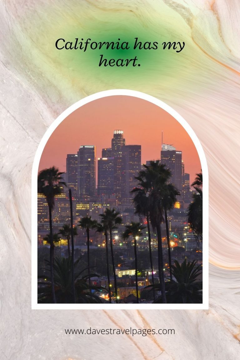 Over 150 California Instagram Captions For Golden State Photos