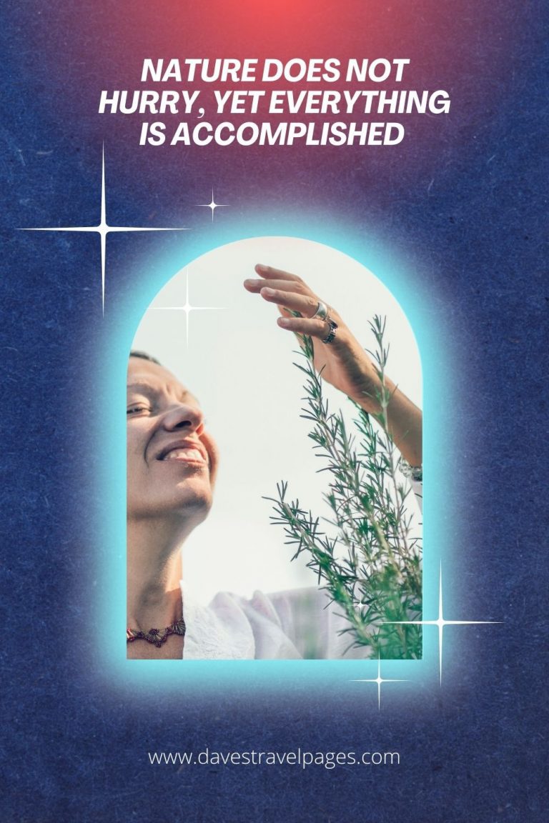 200+ Nature Captions For Instagram Photos And Shorts