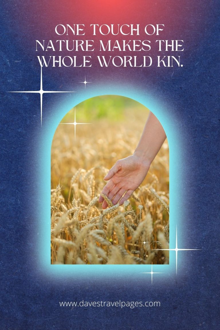 200+ Nature Captions For Instagram Photos And Shorts