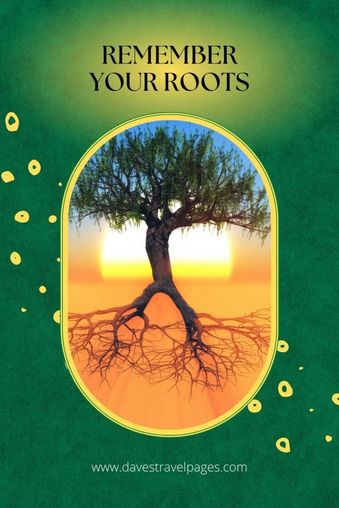 300 Best Tree Captions For Instagram (Includes Tree-larious Puns!)