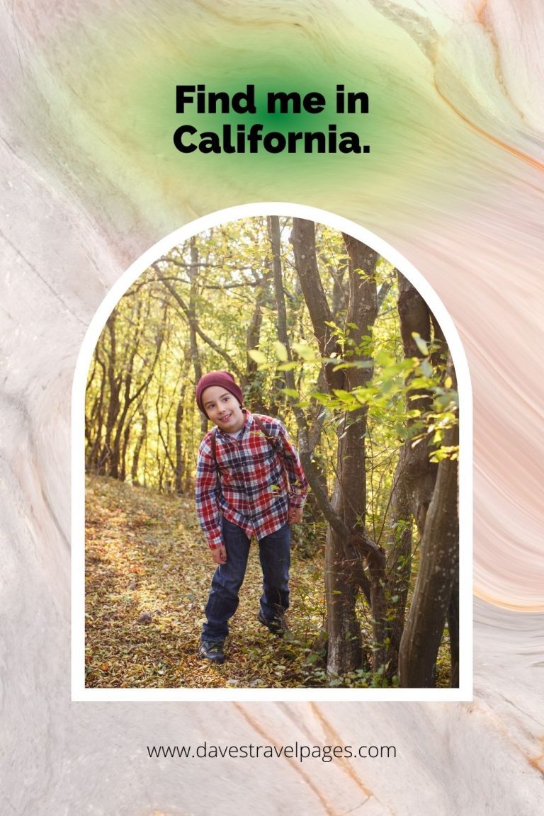 Over 150 California Instagram Captions For Golden State Photos