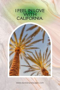 Over 150 California Instagram Captions For Golden State Photos