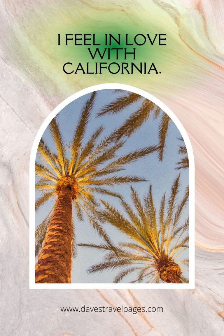 Over 150 California Instagram Captions For Golden State Photos