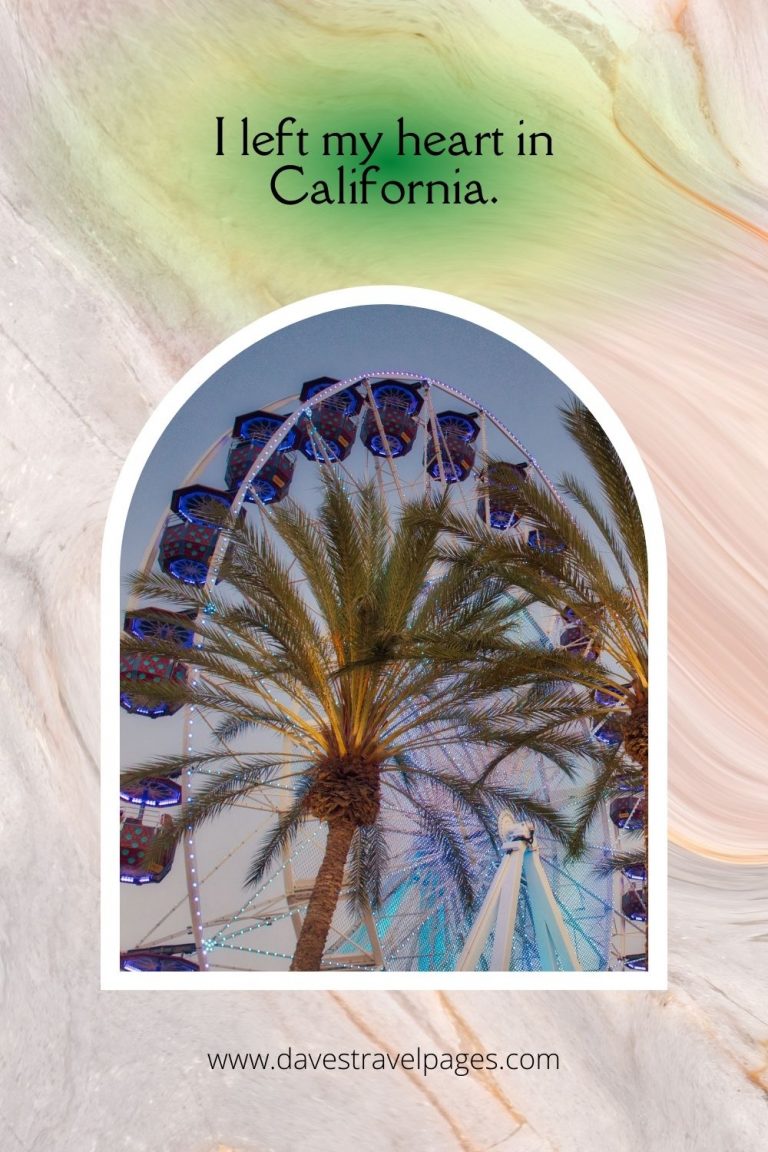 Over 150 California Instagram Captions For Golden State Photos