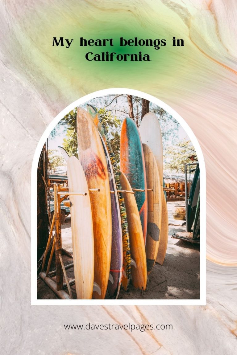 Over 150 California Instagram Captions For Golden State Photos