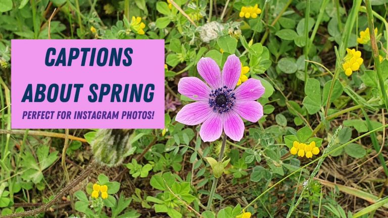 100+ Best Spring Instagram Captions - They're 'Blooming' Good!
